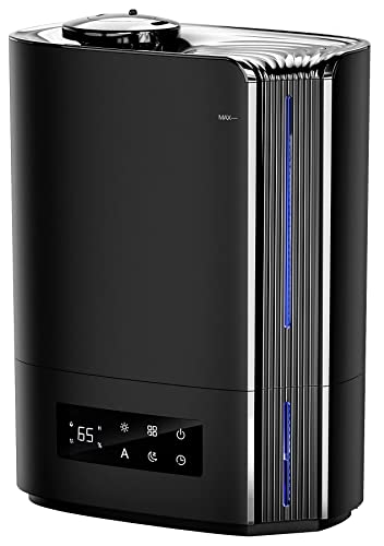 Can You Run a Humidifier Without a Filter?