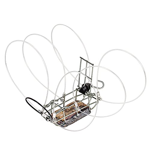 Top 10 Crab Trap For Dungeness of 2022 - Katynel