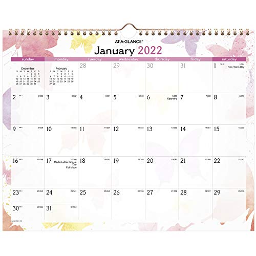 AT-A-GLANCE Watercolors 2022 Monthly Wall Calendar, Medium, 15" x 12 ...