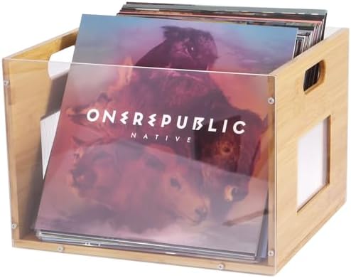 Amazon.com : walowalo Vinyl Record Storage Record Holder with Handle ...