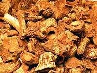 Kashi Enterprises Anantmool Root (100 g) : Amazon.in: Health & Personal ...