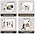 Amazon.com : Kate 8x8ft White Brick Wall Photography Backdrops Portrait ...
