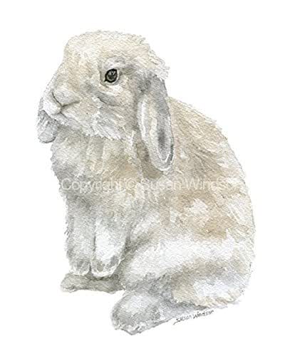 Amazon.com: Gray Beige Lop Rabbit Watercolor Print : Handmade Products