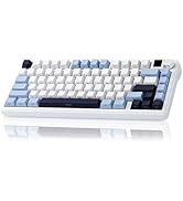 Amazon.com: FKZ GMK70 Split Mechanical Keyboard Kit,65% Alice-Layout ...