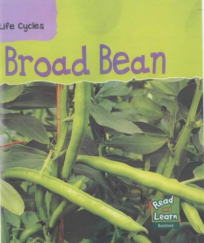 Broad Bean (Life Cycles) : Spilsbury, Louise: Amazon.in: Books