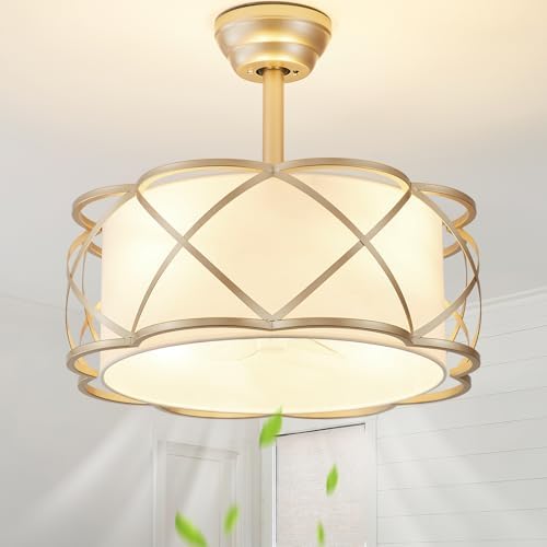 DSYBRI Gold Fandelier Ceiling Fans with Lights, 20" Mid Century Boho ...