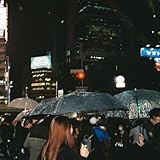 【発売日：2024年11月22日】・製造元:Loh-Fi Records