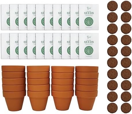 Amazon.com : BUZZY Seeds Spruce Terracotta Mini Grow Pots – Indoor Tree ...