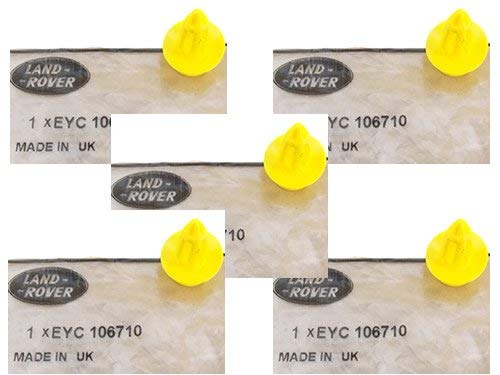 Amazon.com: LAND ROVER Genuine Upper B C D Pillar Clips Range Rover ...