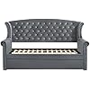 Amazon.com: Coaster Home Furnishings Scarlett Modern Classic Velvet ...