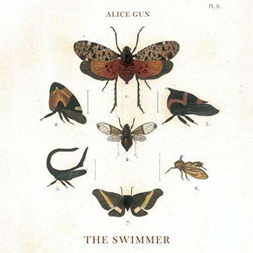 Amazon.com: The Swimmer : Alice Gun: Digital Music