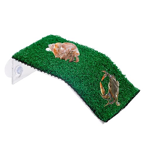 NQEUEPN Hermit Crab Ramp, Grass Turtle Ramp Hermit Crab Climbing Ladder ...