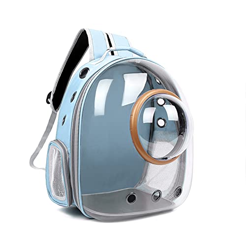 Cat Bubble Backpack – The 15 best products compared - Wild Explained