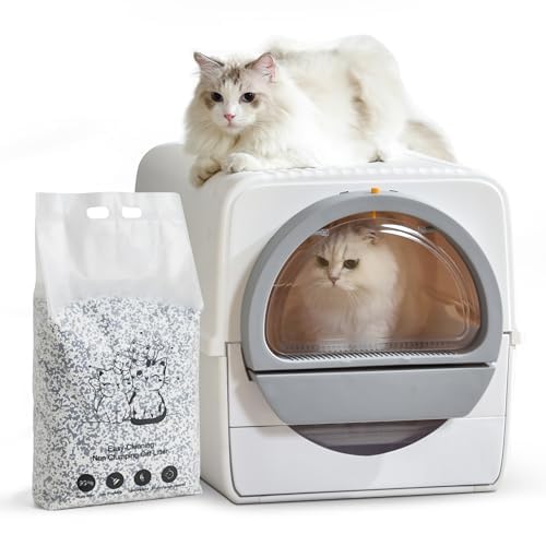 Buy Large Self Cleaning Cat Litter Box, Non-Electric Scoop-Free Litter ...