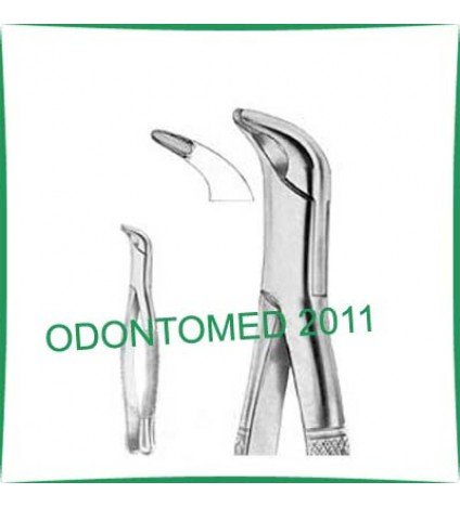 American Extracting Forceps / American Extracting Forceps No. 203 ...