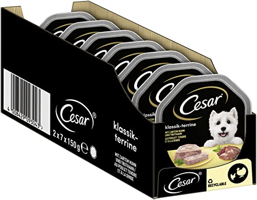 Cesar Chien – Les 15 meilleurs produits dans la comparaison - Guide ...