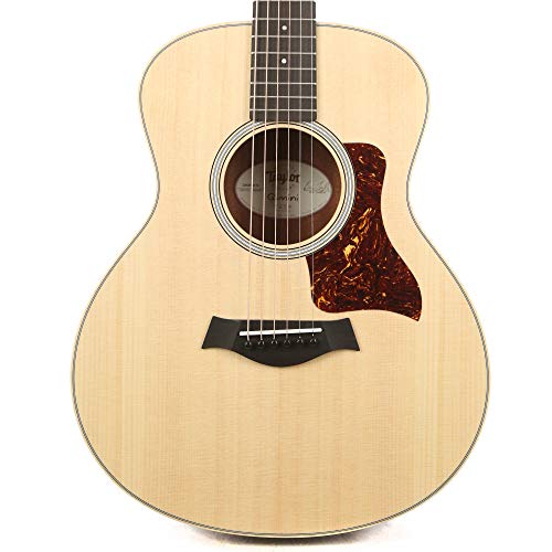 Taylor GS Mini VS the Baby Taylor : Which is better? - Instrumental Global