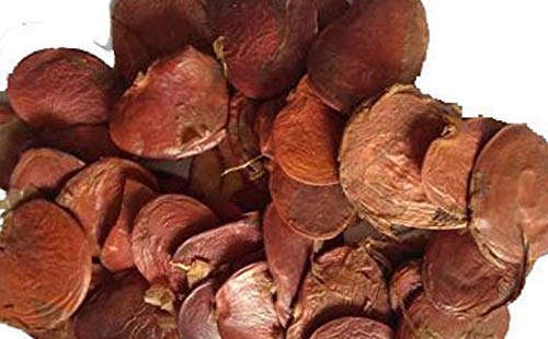 Buy Xetomos Palash Beej Bilas Papda Butea Monosperma Seeds 250gms Other ...