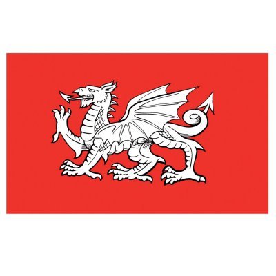 England White Dragon Flag 5ft x 3ft : Amazon.co.uk: Garden