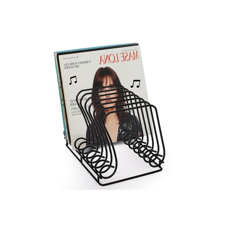 Vinyl Record Holder, 9 Section Wire Record Storage, Hold up to 30 LP ...