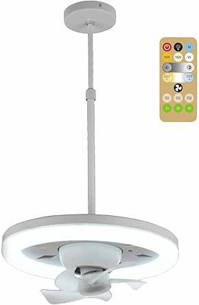 Kaxenig Low Profile Ceiling Fans with Lights Remote Control, 10.2 ...