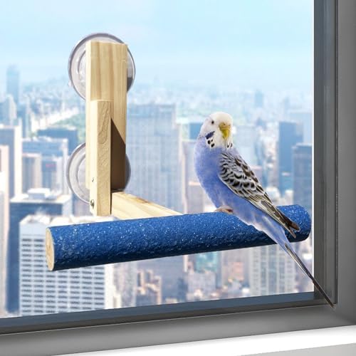 Amazon.com : Polly's Deluxe Window and Shower Bird Perch, Large : Pet ...