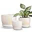 Amazon.com: Ton Sin Flower Pots, Purple Ceramic Plant Pots Set of 3 ...
