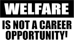 Amazon.com: Welfare Vinyl Decal Sticker- 8" Wide Matte Black Color ...