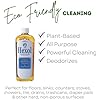 Amazon.com: Hexol Deoderant Concentrated General Household Cleaner and ...