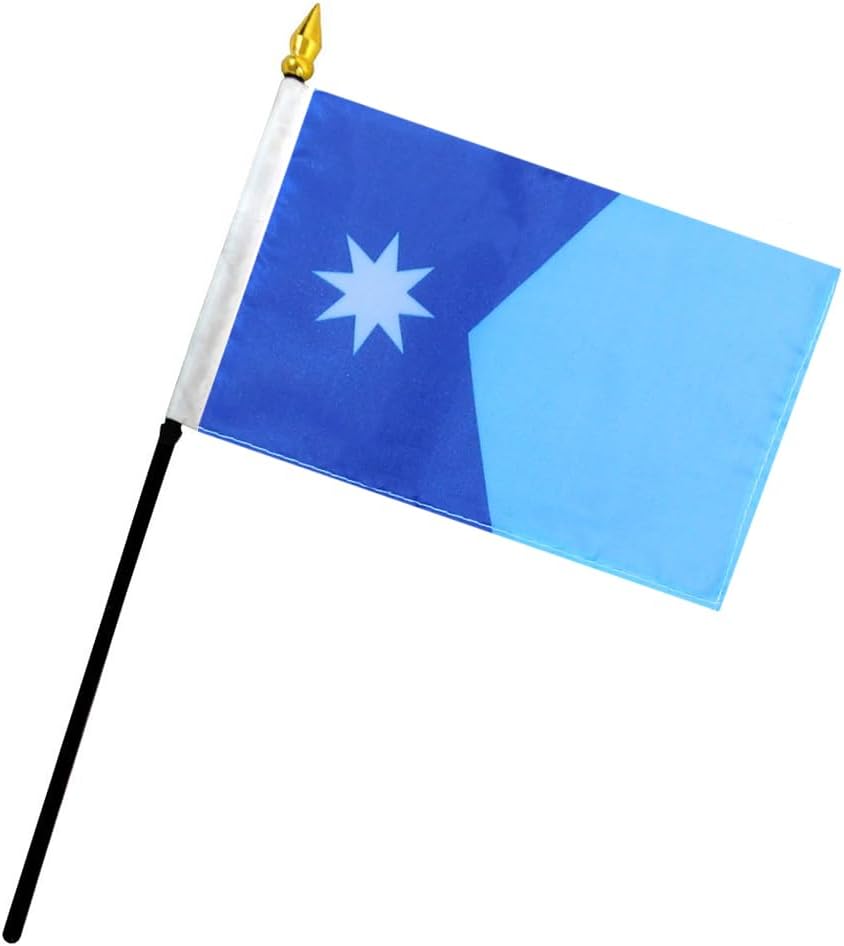 Amazon.com : Minnesota (2024) - 4 in x 6 in State Stick Flag : Patio ...