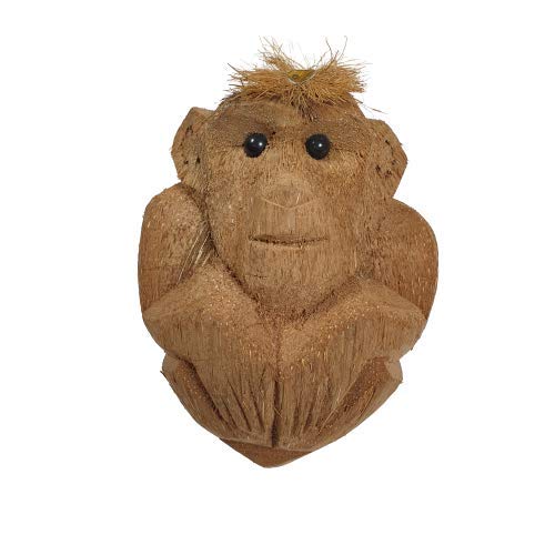 Buy Eco-Friendly Handicraft Coconut Monkey Idol Online at Low Prices in ...
