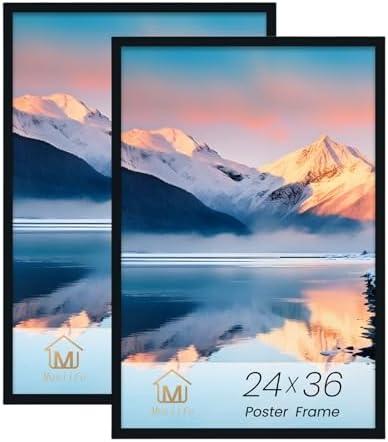 Amazon.com - MCS Trendsetter 24x36 Poster Frame Black High-Gloss ...