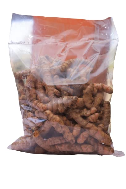keralagro Turmeric Seeds (Turmeric Roots) for Planting - 500gm packet ...