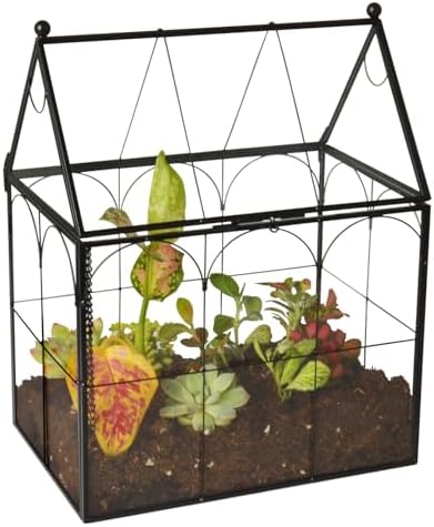 Amazon.com: Large Tall Plant Greenhouse Terrarium Glass with Lid, 8.7 ...