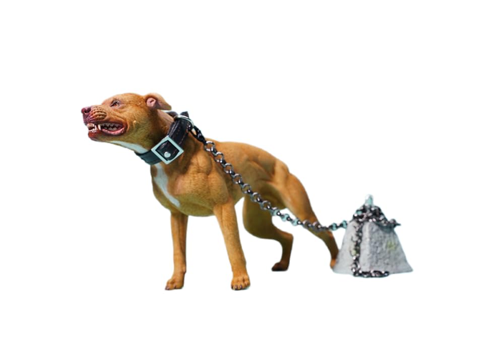 Amazon.com: HiPlay JXK American Pit Bull Terrier 1:6 Scale Animal ...