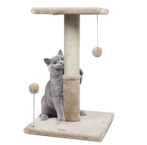 Get Your Paws on the Best Cat Posts: Top 10 Picks and Buying Guide ...