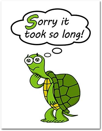 Amazon.com : Small World Greetings Sorry It Took So Long Turtle Cards ...