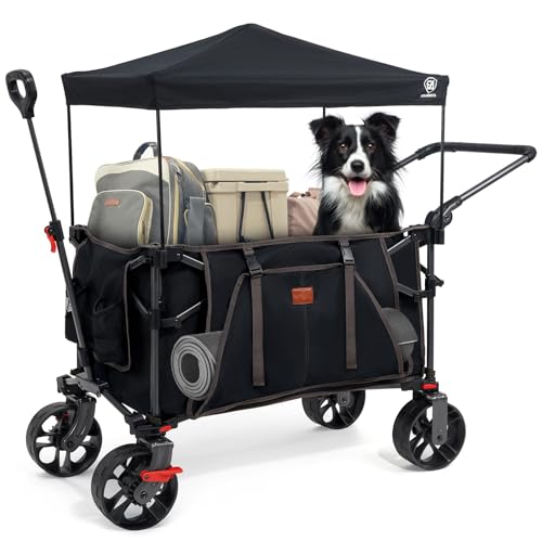 %Festival Trolleys for Musicians% 2025