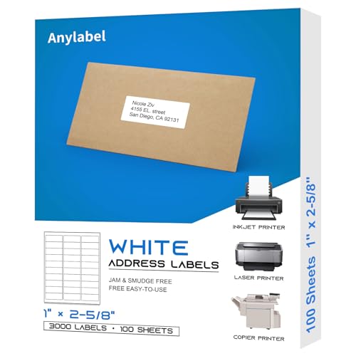 Snapklik.com : Anylabel 3000 Labels 100 Sheets 1 X 2-5/8 Address Label ...
