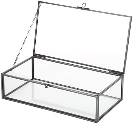 Amazon.com: Hipiwe Glass Keepsakes Display Box Jewelry Organizer Box ...