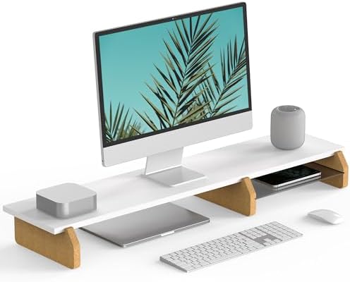 FENGE 2-Tier Acrylic Dual Monitor Stand Riser,23.6 Inch Acrylic Monitor ...