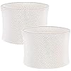 Amazon.com - VUIUKOYE 2-Pack Replacement Filters for Mainstays ...