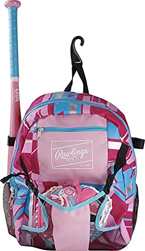 Top 10 Best Bat Bags For Softball : Reviews & Buying Guide - Katynel