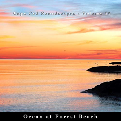 Amazon.com: Cape Cod Soundscapes, Vol. 25: Ocean at Forest Beach ...