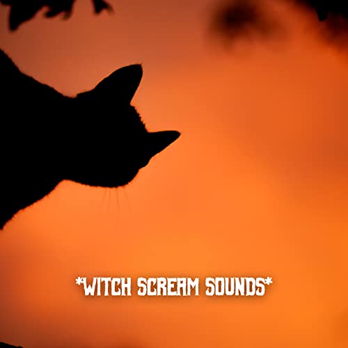 * Witch Scream Sounds * de Horrible Sounds, Horror Sounds & Scream ...
