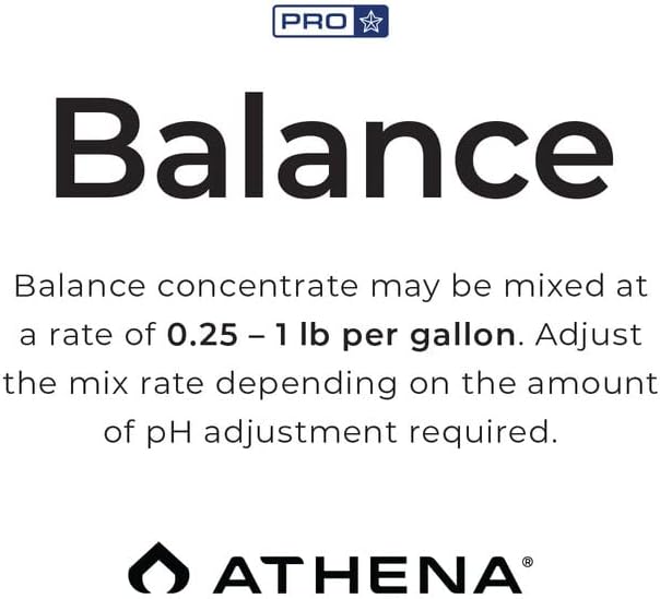 Athena Pro Balance (10 libras) – Yaxa Colombia