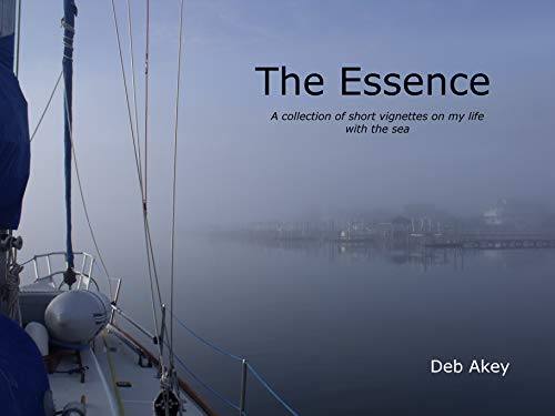 The Essence: Short vignettes on moments that define my life with the ...