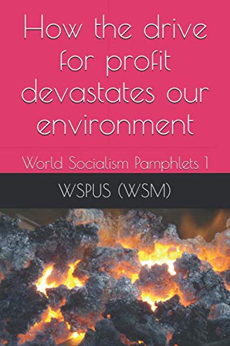 How the drive for profit devastates our environment: World Socialism ...