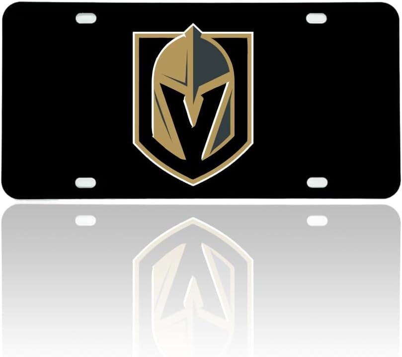 Amazon.com: New Brand 1 Pack Aluminum Alloy License Plate for Golden ...