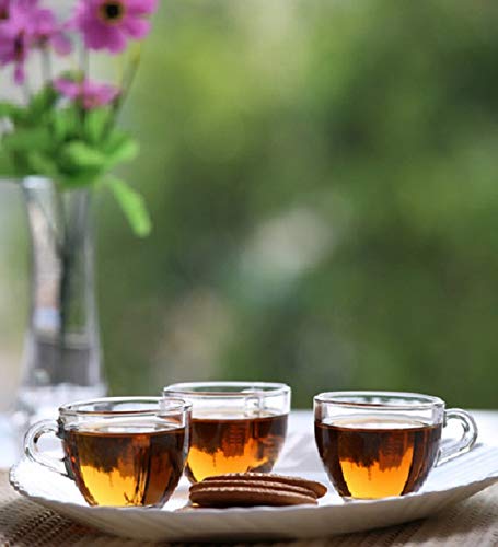 Trendhook Imported Glass Tea Cup & Saucer Set_220ml Set of 12 : Amazon ...